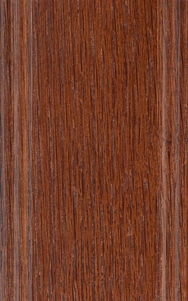 Nutmeg - Wellborn Forest